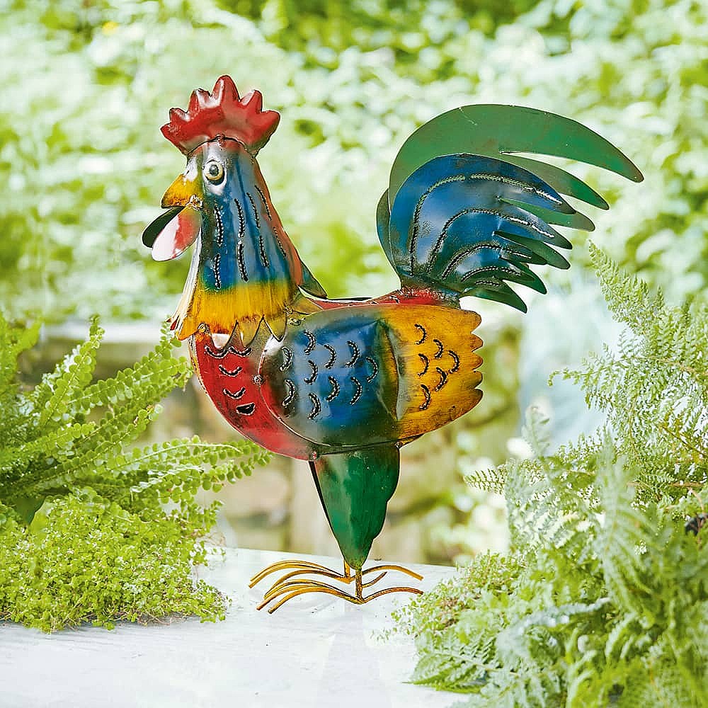 Colourful Cockerel | Culture Vulture