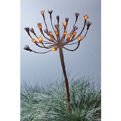 New | Latest Arrivals | Culture Vulture