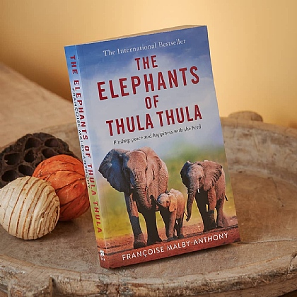 New | Latest Arrivals | Culture Vulture